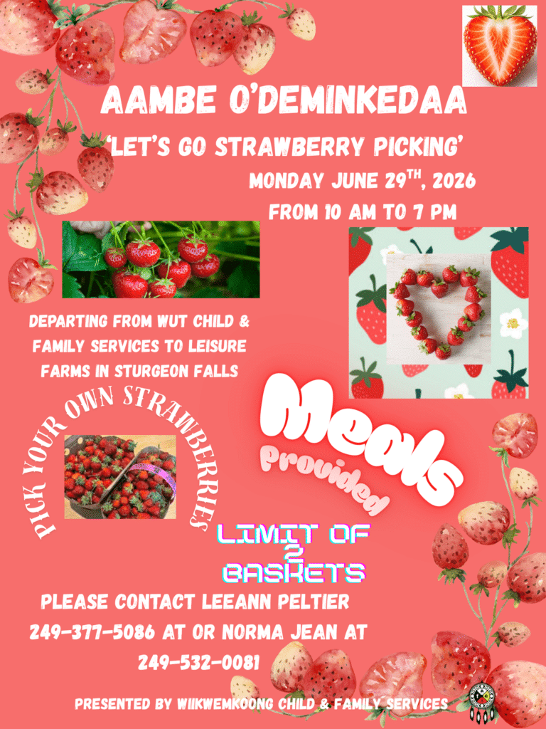 Leisure Farms: Strawberry Picking — Wiikwemkoong Unceded Territory